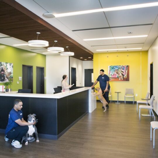 Fulton County Animal Services Shelter / Division 12